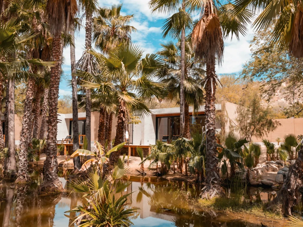 A sanctuary for your soul - Amet